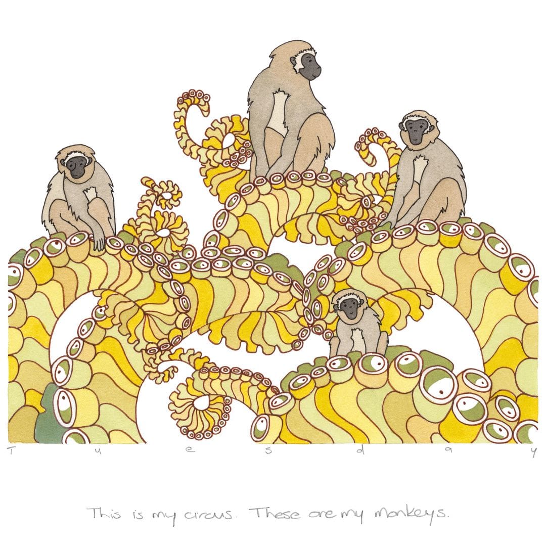 Tuesday Houston: Telling stories through octopus illustrations - Hello ...