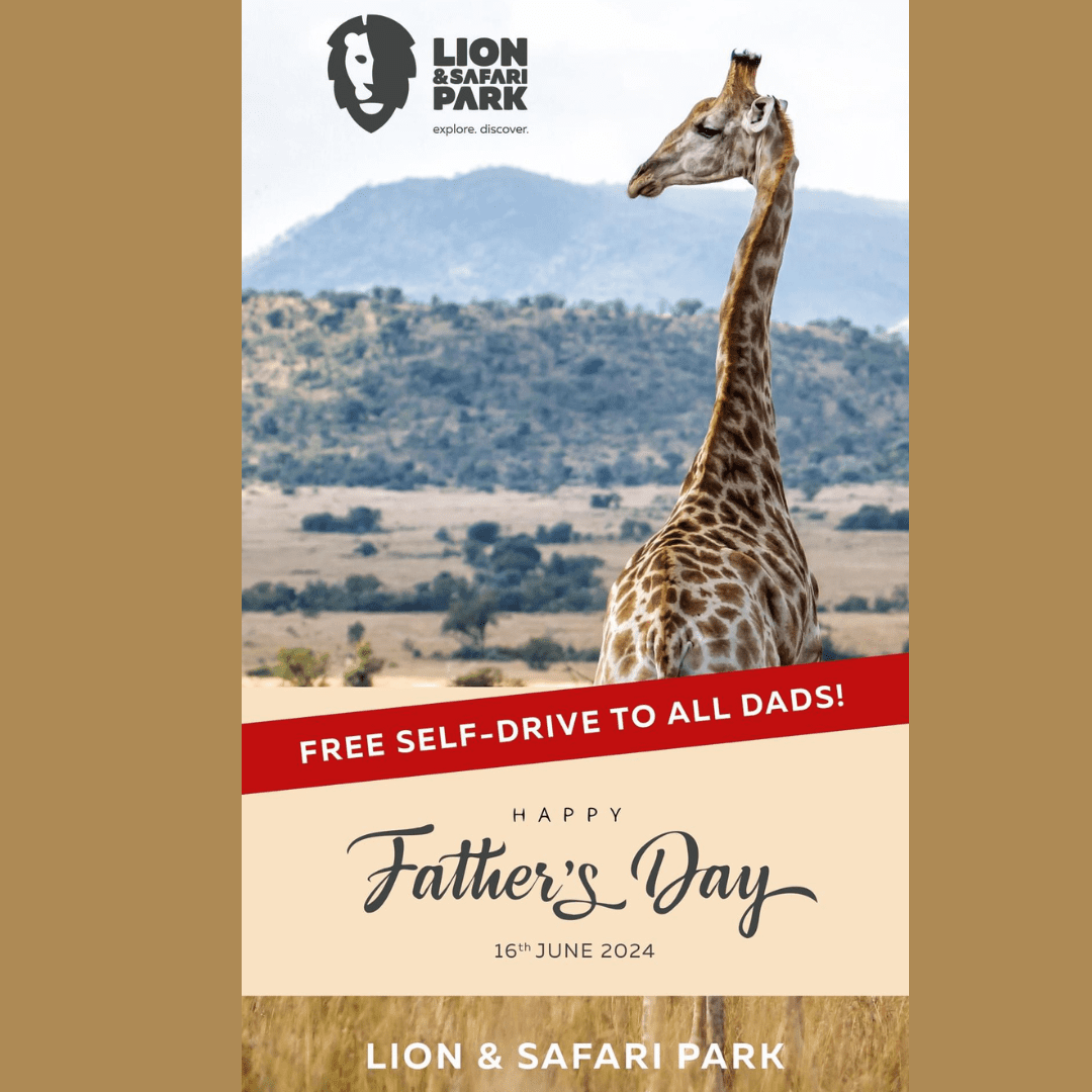 Ways to Celebrate Dad this Father's Day - Hello Lifestyle Magazine