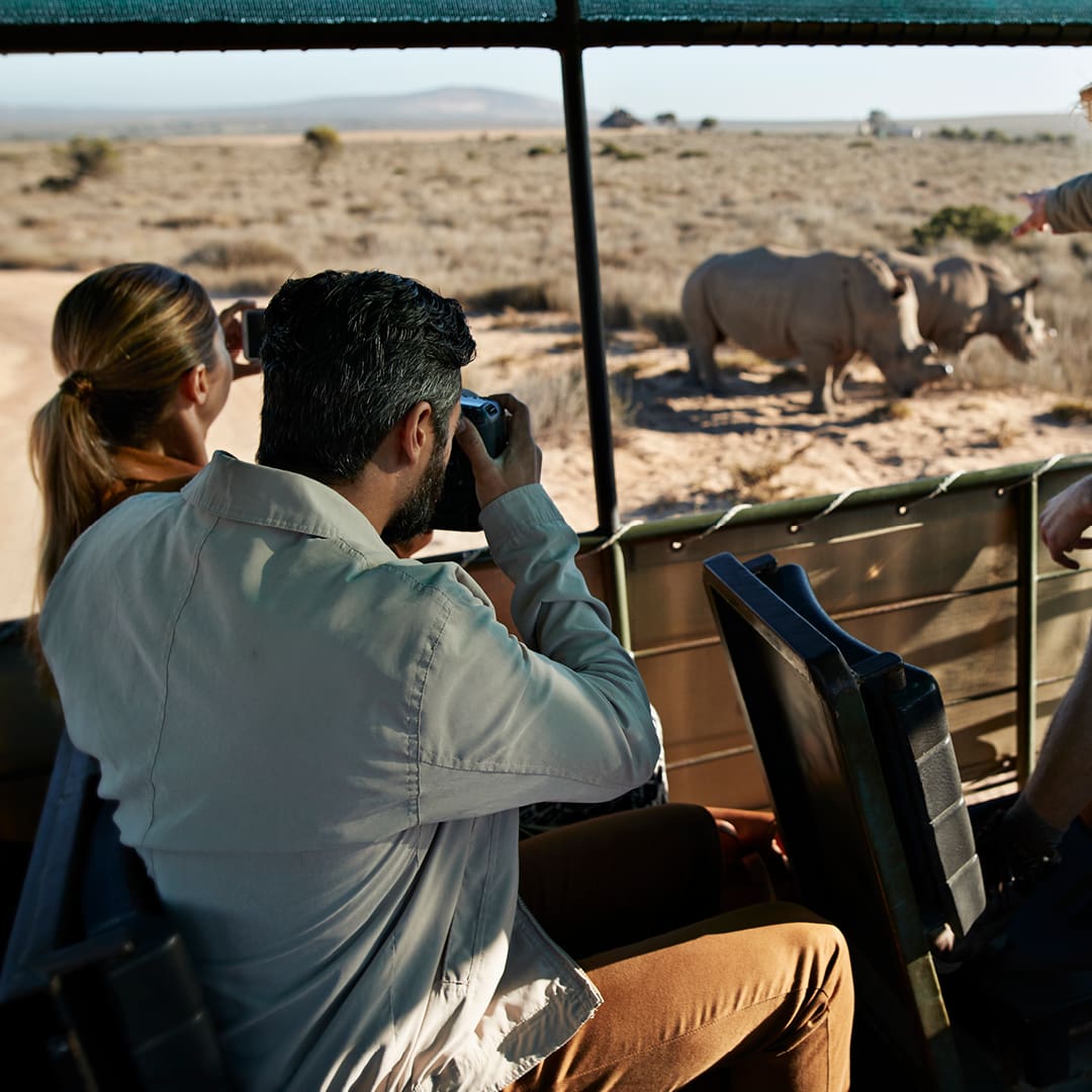 Urbanites and Bush Lovers Meet in the Heart of Sandton - Hello