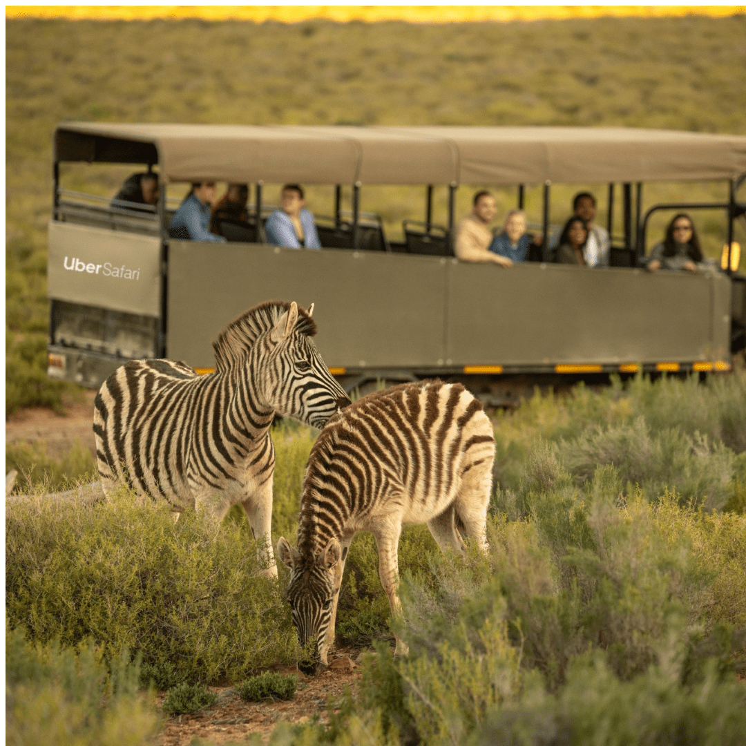 Cape Town: Fun Things To Do - Hello Lifestyle Magazine