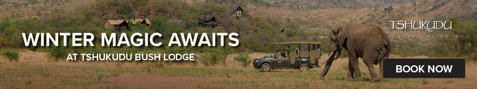 Decathlon Paves a Path in SA with a New Store at Mall Of Africa - Hello Lifestyle Magazine